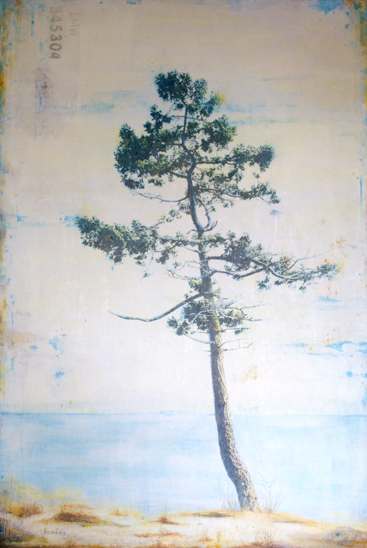 Lori Bagneres – Gallery Merrick