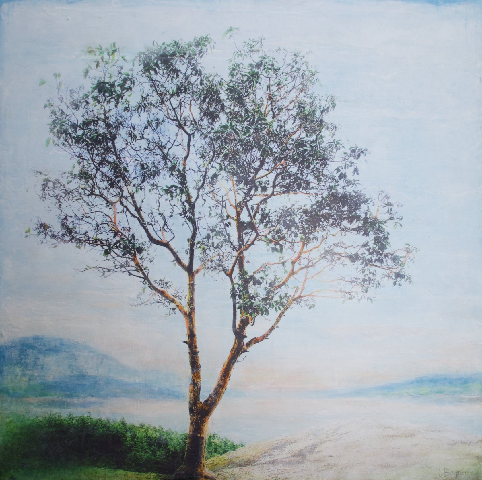 Madrona Bay – Gallery Merrick