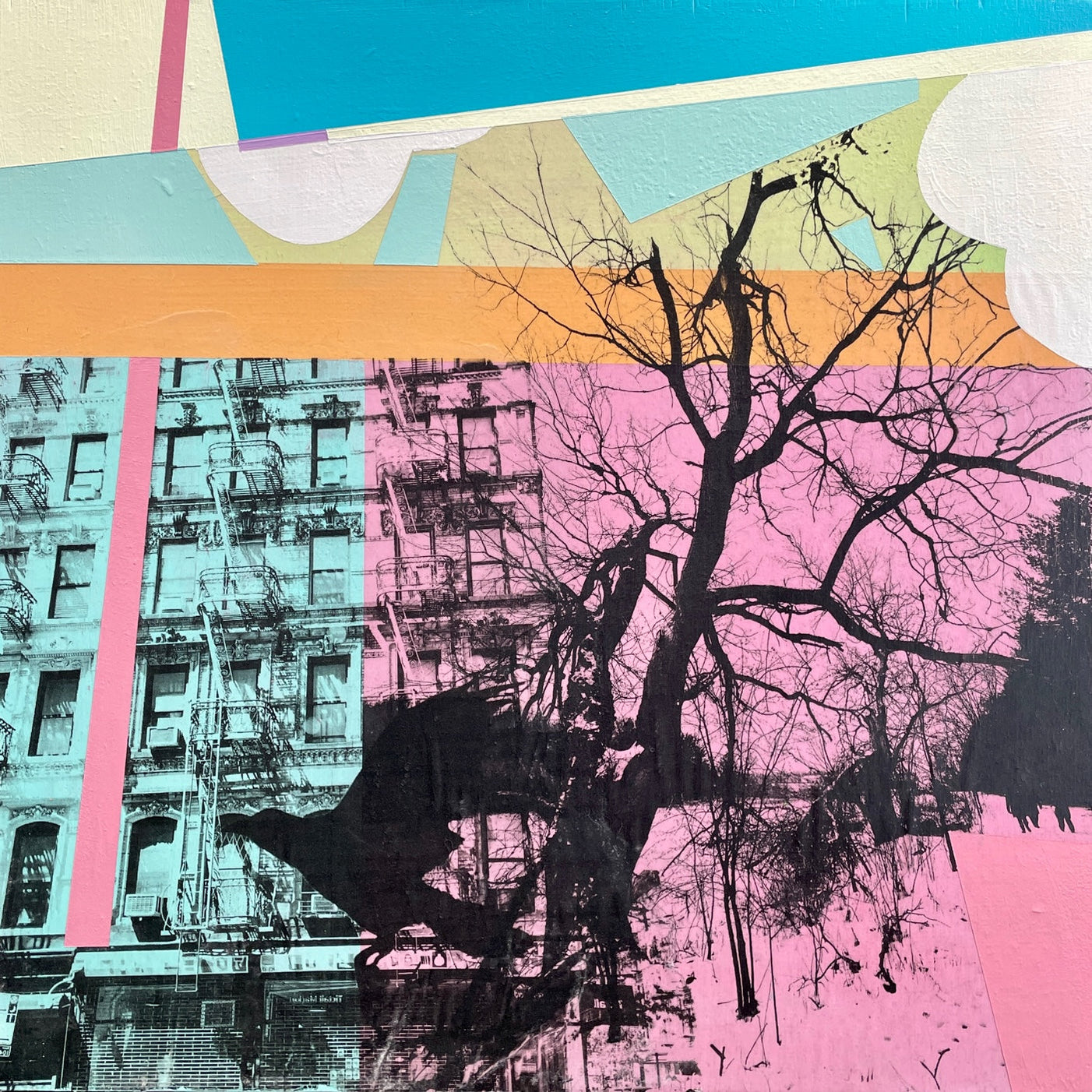 Shane Norrie — Gallery Merrick